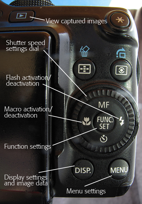 Digital Photography I