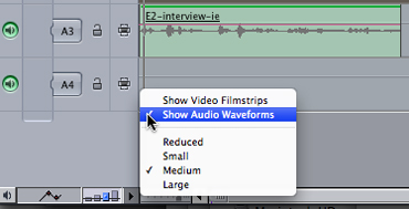 Digital Video Editing I