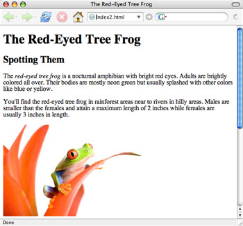 Intro to HTML and CSS