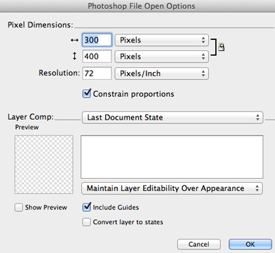 Web Graphics Using Fireworks